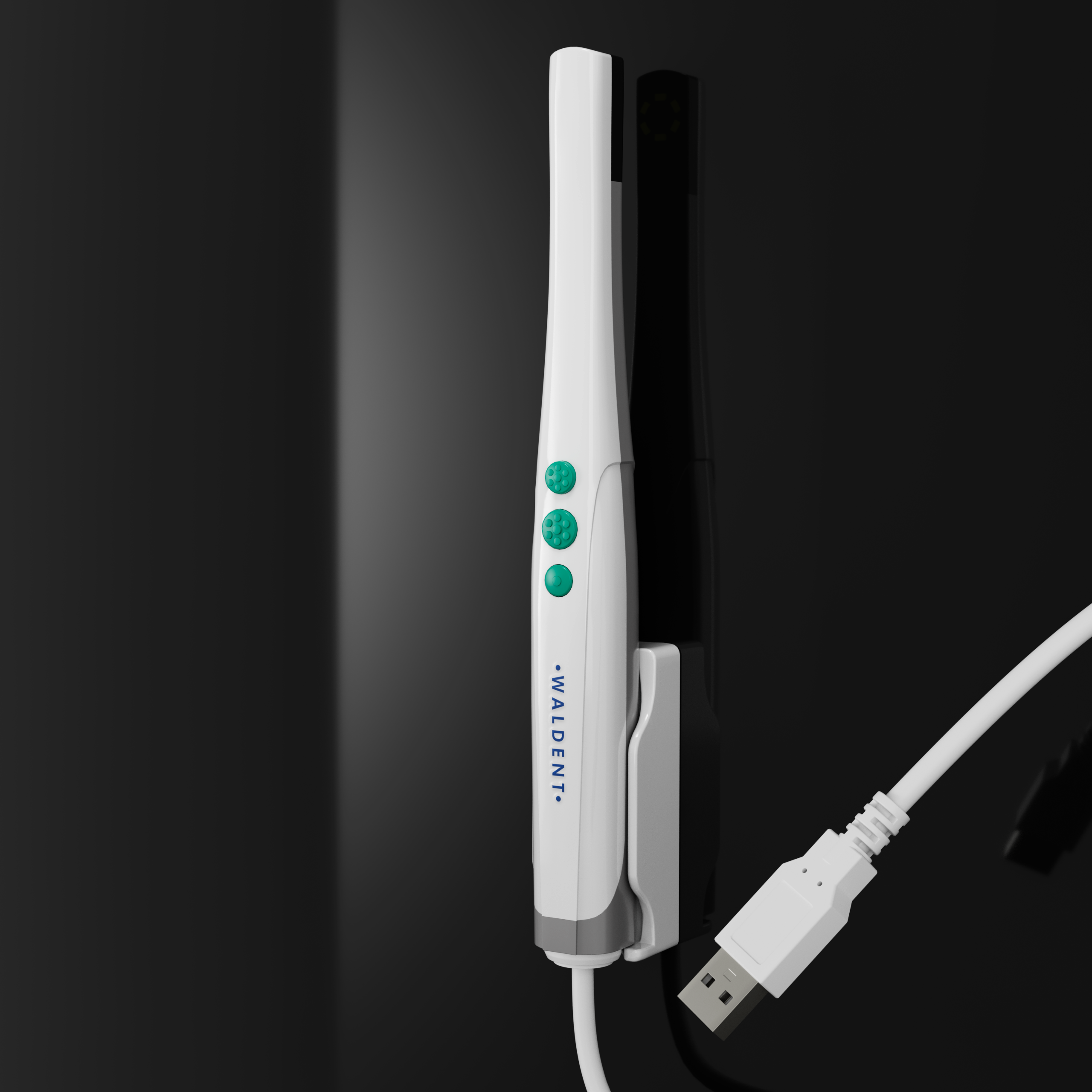 Buy Waldent Intraoral Camera USB Model ( For Laptop ) Online at Best ...