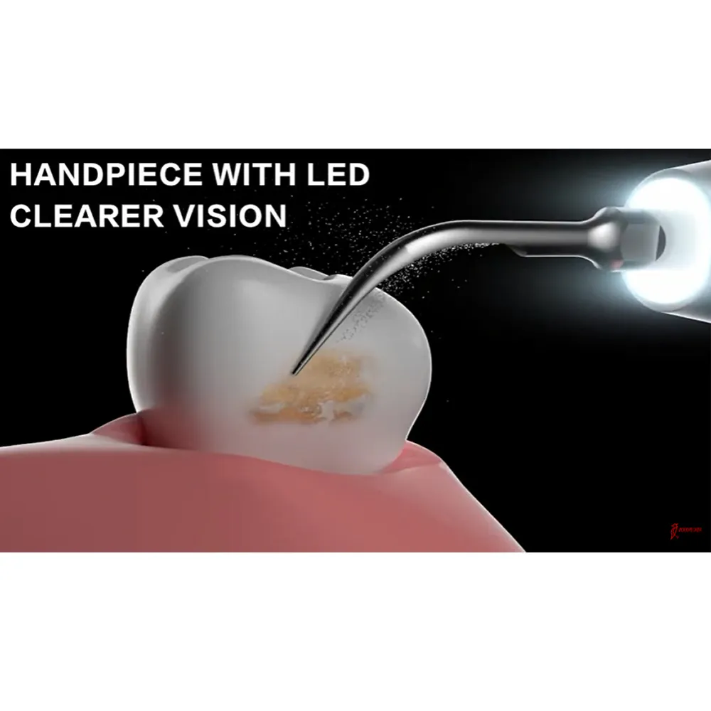 Woodpecker D600 LED Ultrasonic Scaler at Unbeatable Price | DentalKart