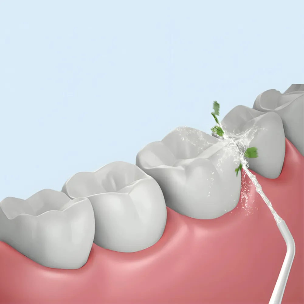 Colgate Water Flosser