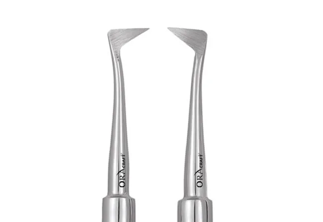 Oracraft Seldin Root Elevator Online at Best Price | Dentalkart.com