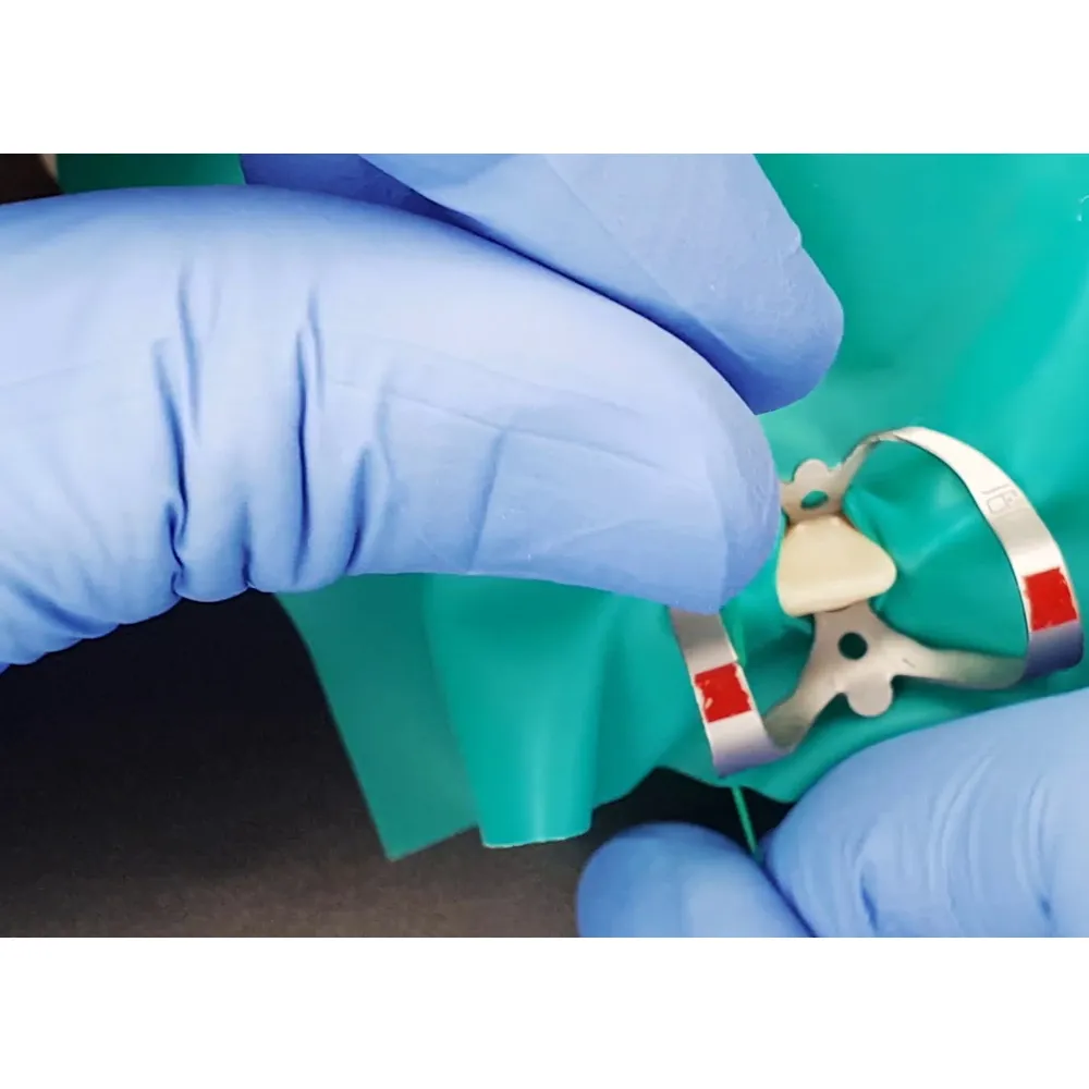 Coltene Fiesta Color Coded Dental Dam Clamps Kit and Refills