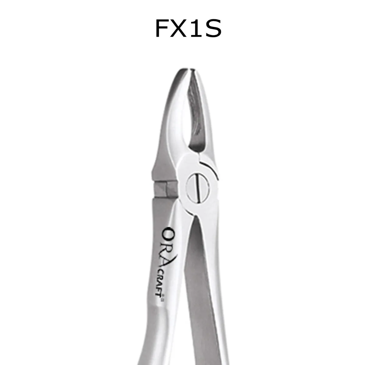 Oracraft Extraction Forceps Standard