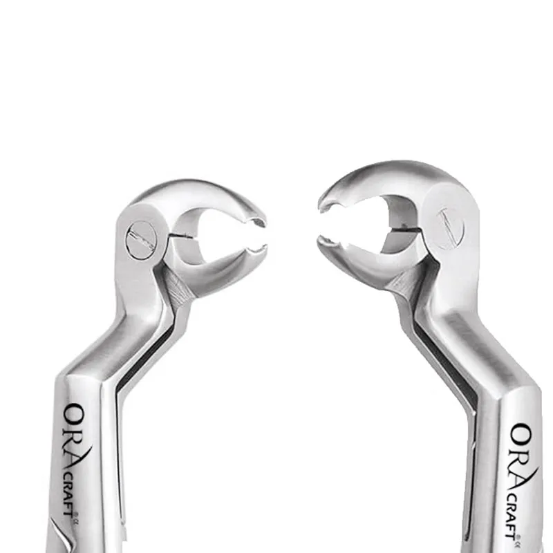 Buy Oracraft Extraction Forceps at Best Price on Dentalkart