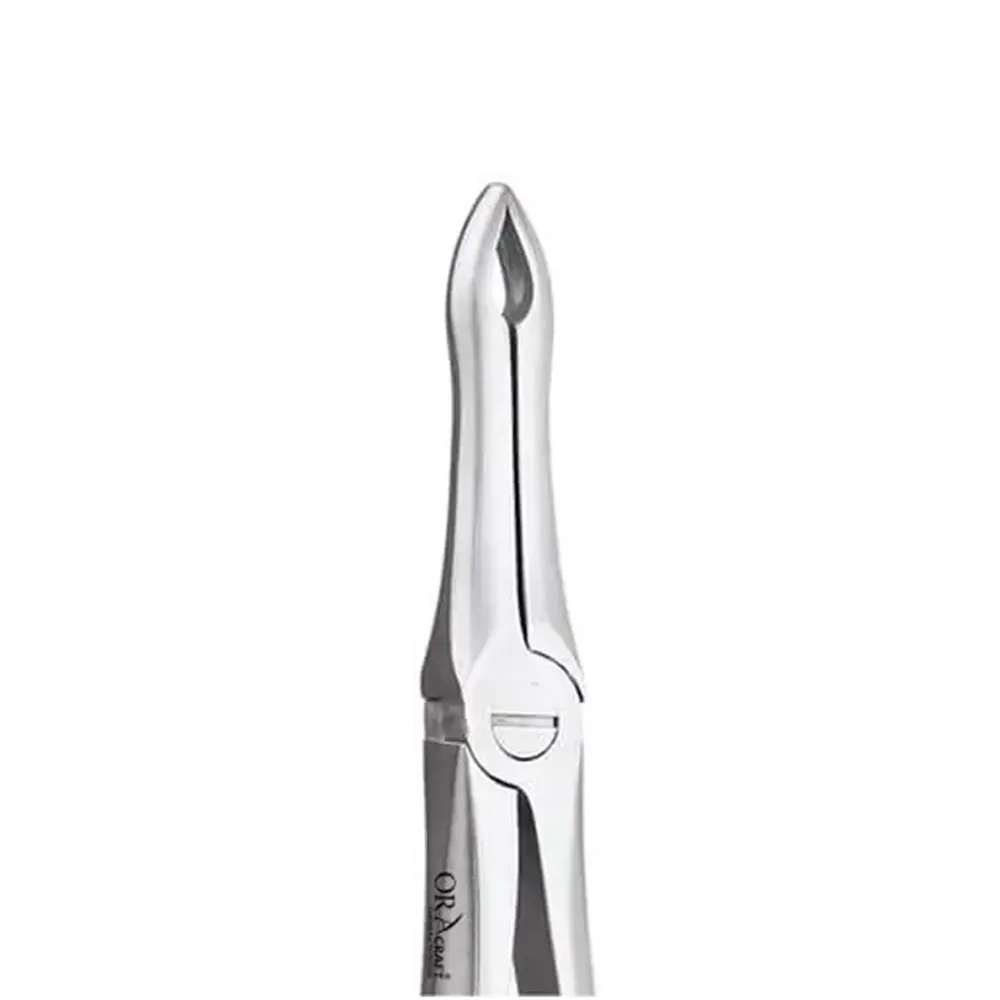 Oracraft Extraction Forceps Standard