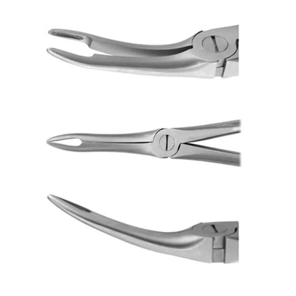 GDC Extraction Forceps Upper Roots - 44 Standard (FX44S) | Dentalkart