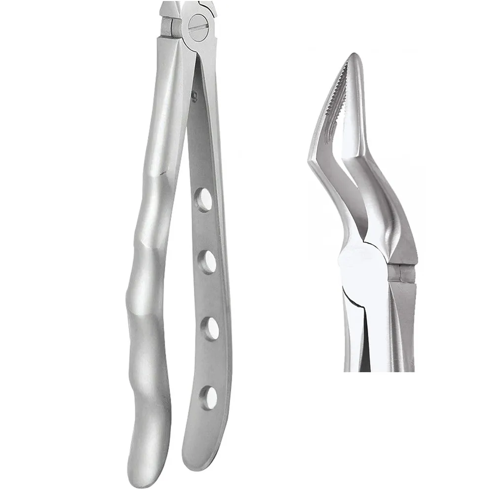 GDC Extraction Forceps Upper Roots - 51A Premium (FX51AP) | Dentalkart