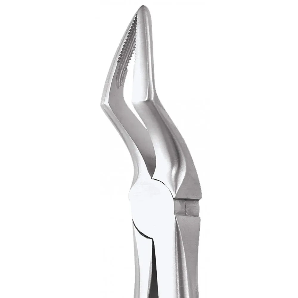 GDC Extraction Forceps Premium In Pouch Premium (EFPP12) | Dentalkart