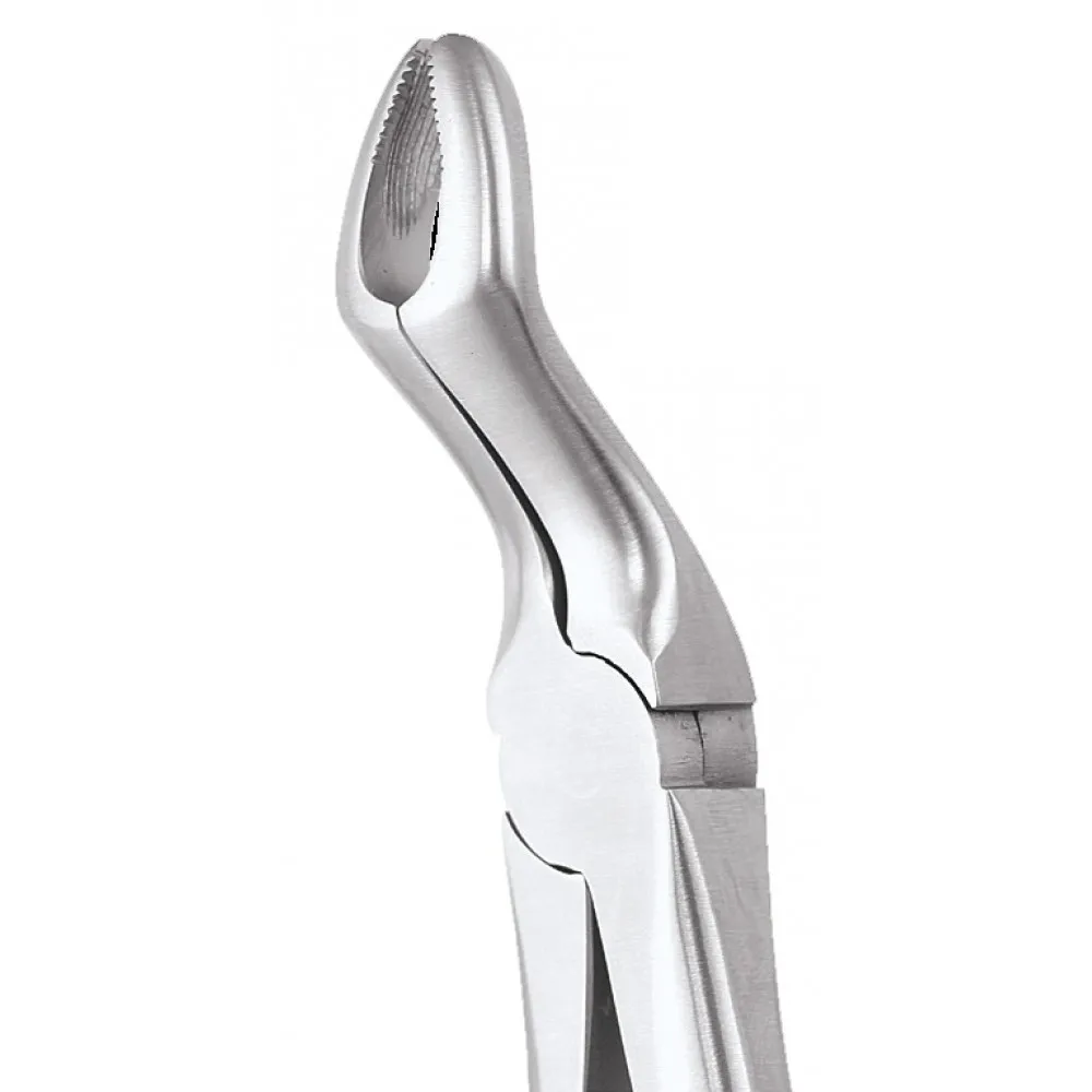 GDC Extraction Forceps Premium In Pouch Premium (EFPP12) | Dentalkart