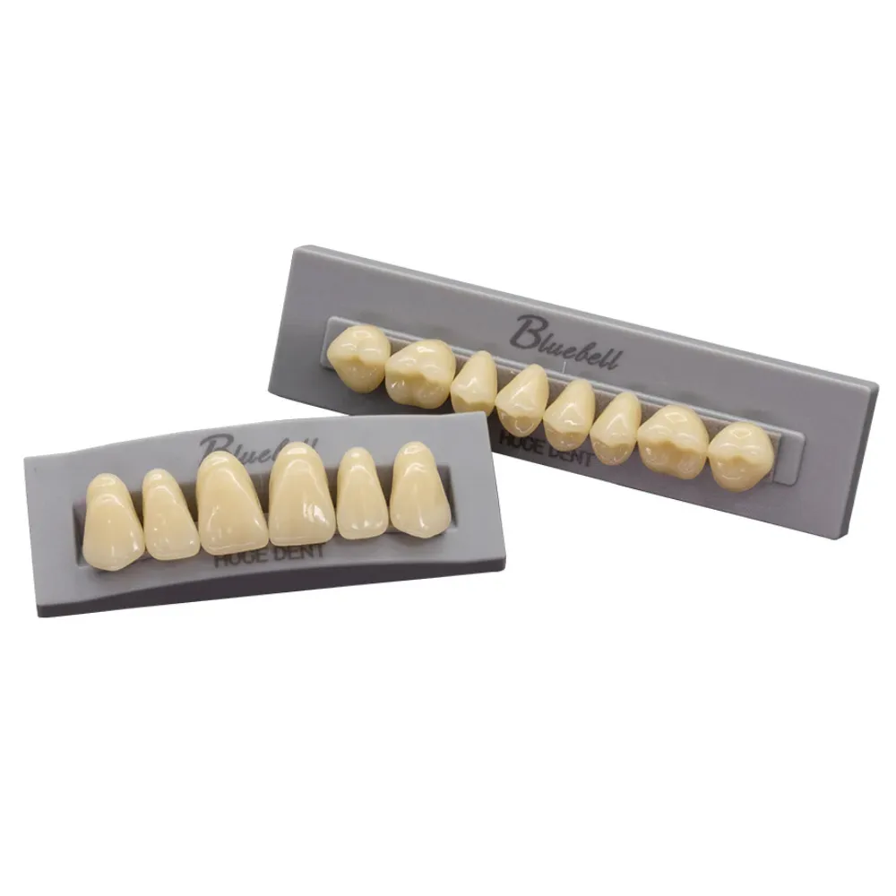 Huge Dental Bluebell Acrylic Denture Teeth B1 (Set of 28) Online at ...