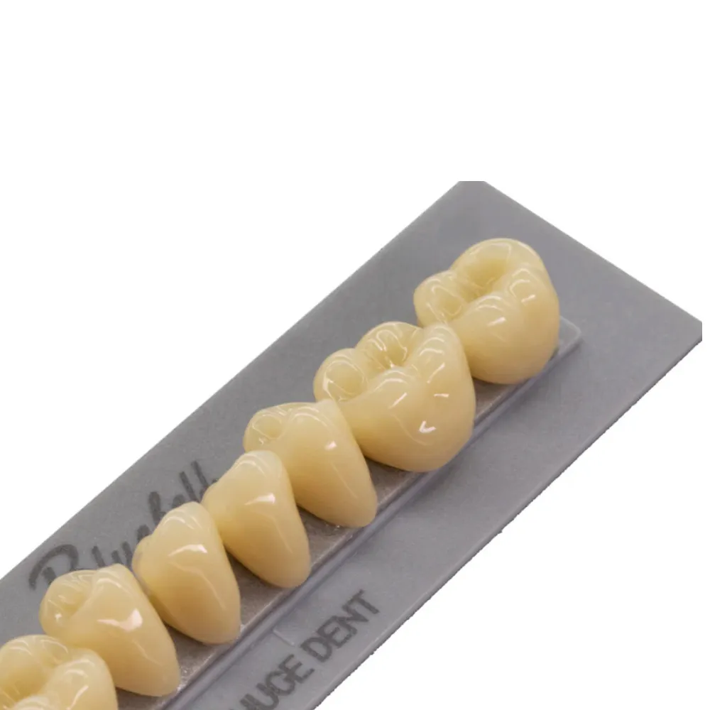 Huge Dental Bluebell Acrylic Denture Teeth A3 (Set of 28)