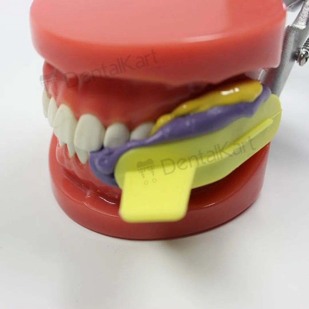 Cotisen Flexible Bite Registration Tray Pack of 20 (Triple tray) Online ...