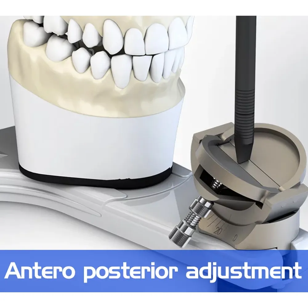 bioart adjustable incisal table