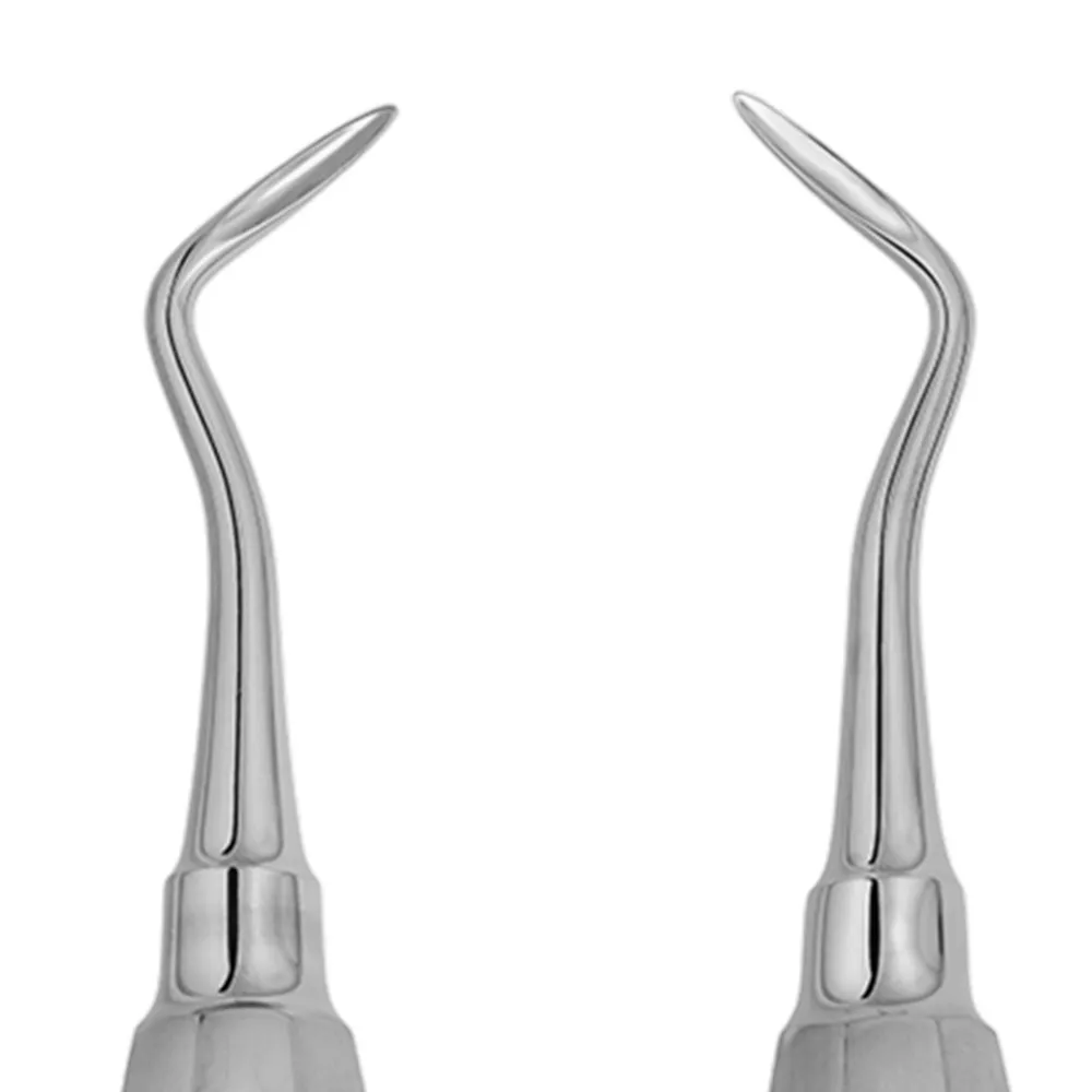 Waldent Flohr Root Elevators