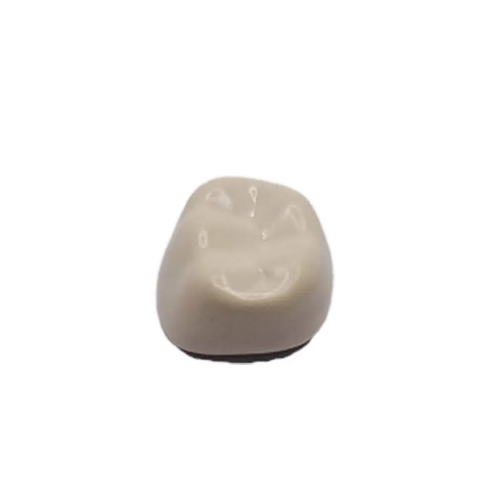 Kids-e-Dental BioFlx Lower Right 2nd Molar Crowns Refills