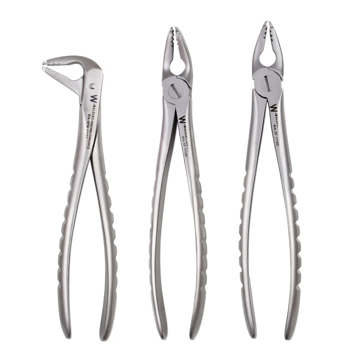 Waldent Atraumatic Extraction Instruments Forceps Kit Set of 6 - Coarse ...