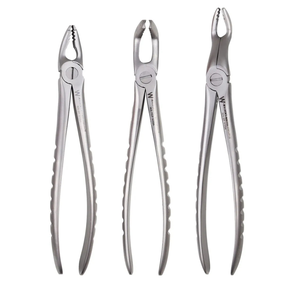 Waldent Atraumatic Extraction Instruments Forceps Kit Set of 6 - Coarse ...