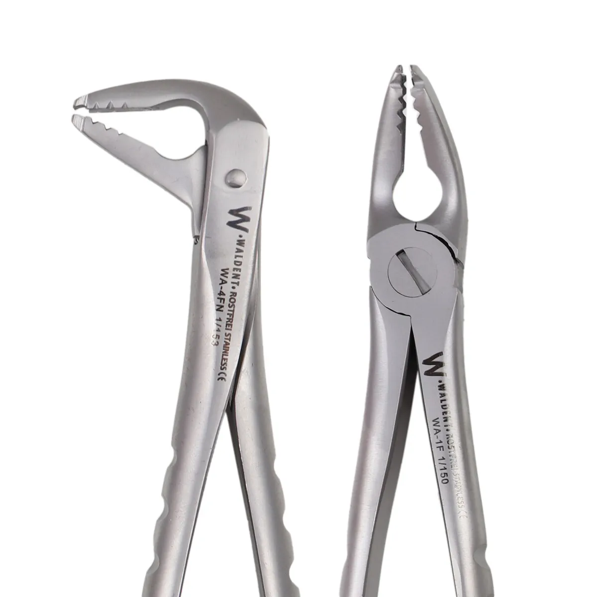 Waldent Atraumatic Extraction Instruments Forceps Kit Set of 6 - Coarse ...