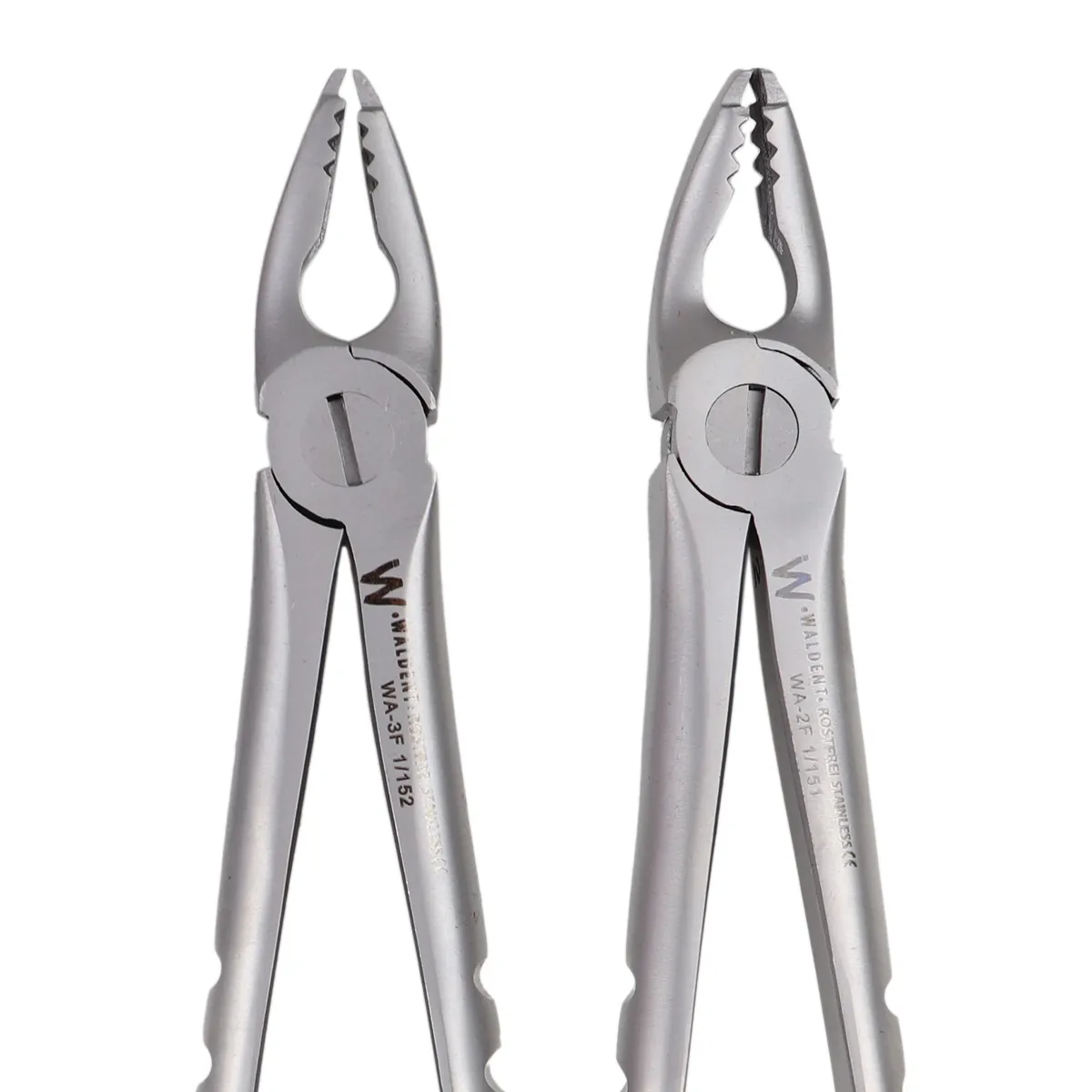 Waldent Atraumatic Extraction Instruments Forceps Kit Set of 6 - Coarse ...