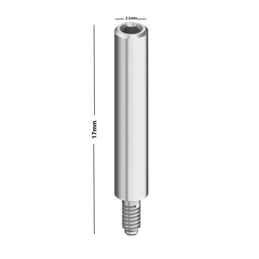 Adin RS Flat Connection Long Laboratory Screw (FC6017)