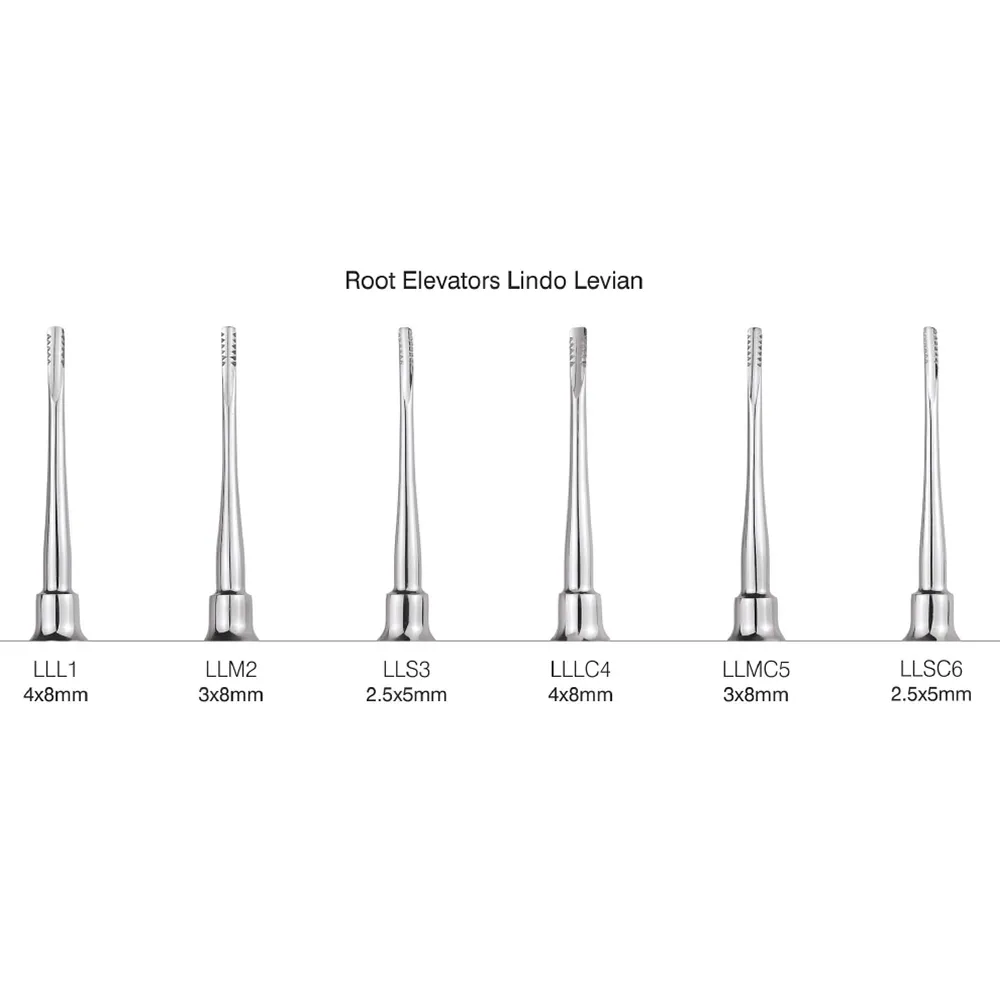 Buy GDC Lindo Levian Root Elevators | Best Precision Dental Tools - Dentalkart