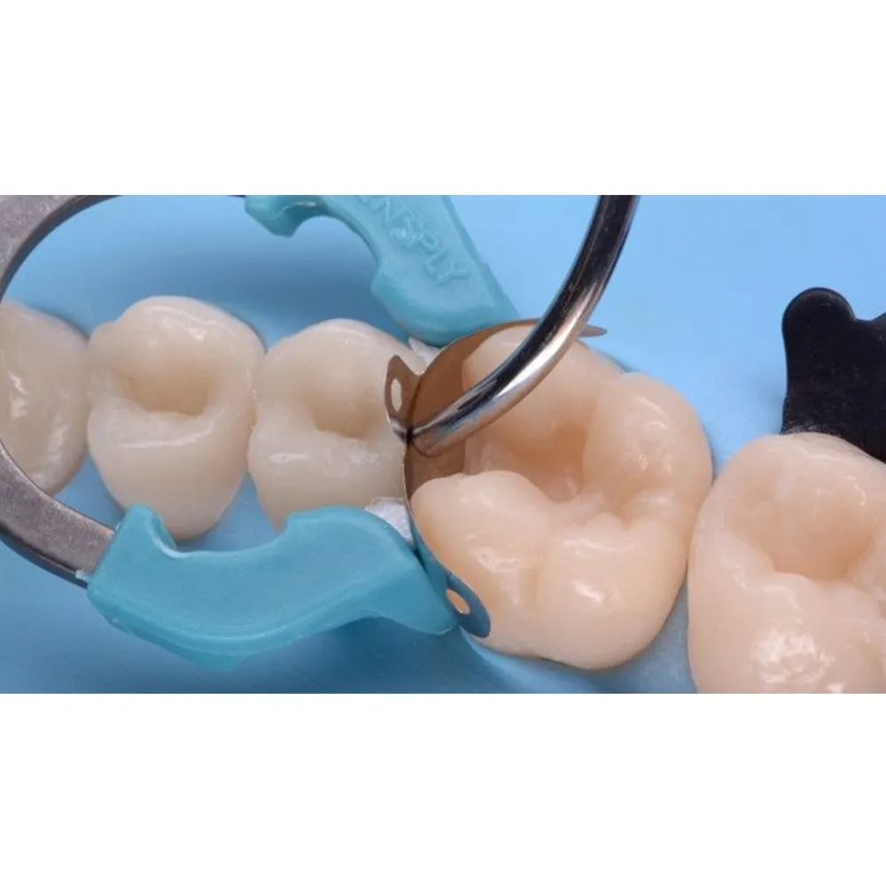 Buy TOR VM Lug Matrices | Anatomically Preformed Stainless Stee