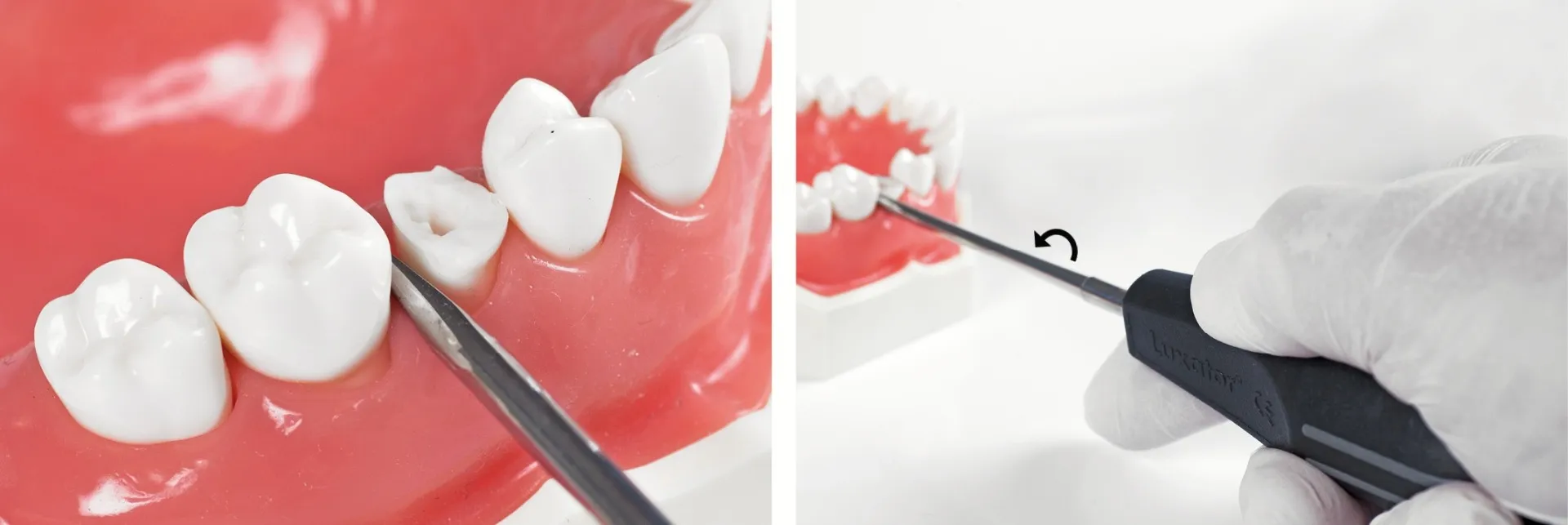 Buy Get API Luxator Set of 4 - Best Dental Luxator | Dentalkart