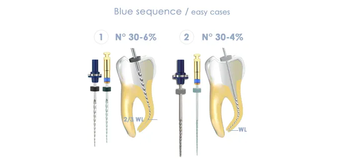 Micro Mega Hero Shaper Individual Classic Rotary Files 2% | Endodontic ...