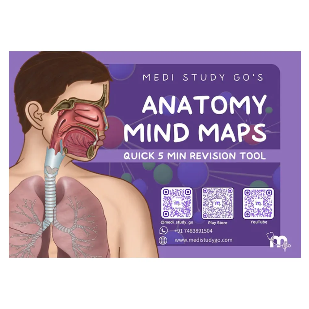 Medi Study Go Head And Neck Anatomy Mind Maps