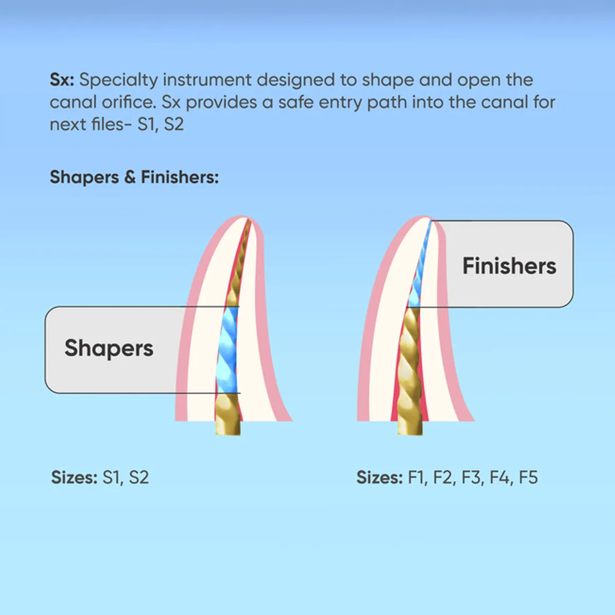 NeoEndo Neotaper NiTi Rotary Files