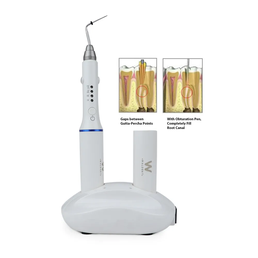 Buy Obturation Pen System: With Advanced Endodontic Solution online ...