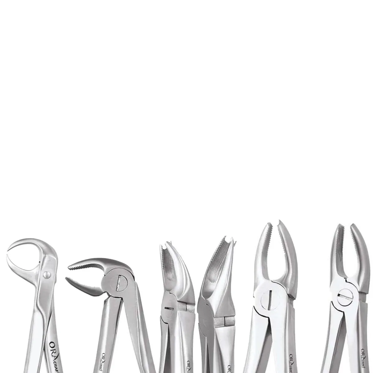 Oracraft Extraction Forceps Premium