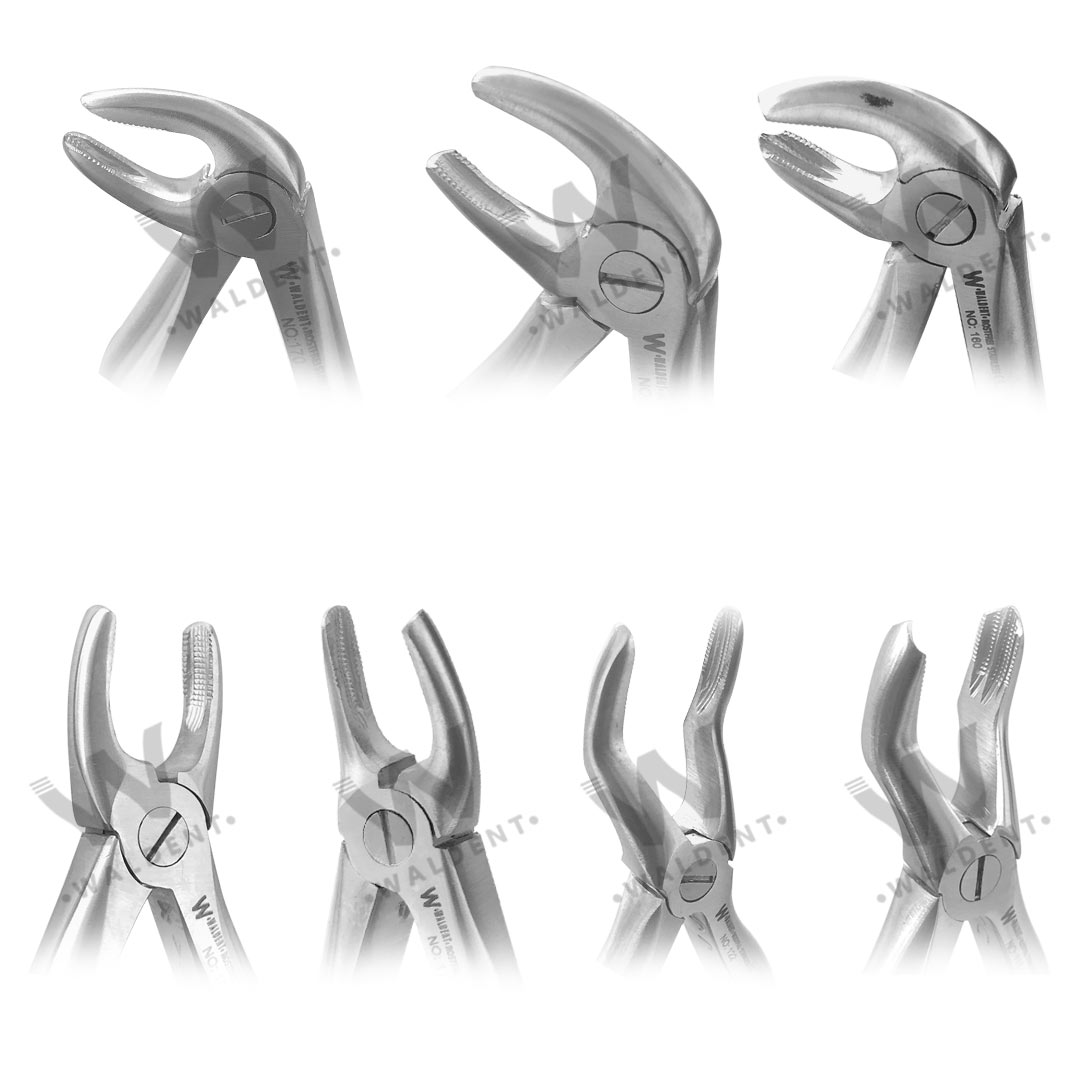 Waldent Pedo Extraction Forceps Kit Set of 7 (K1/2) | DentalKart