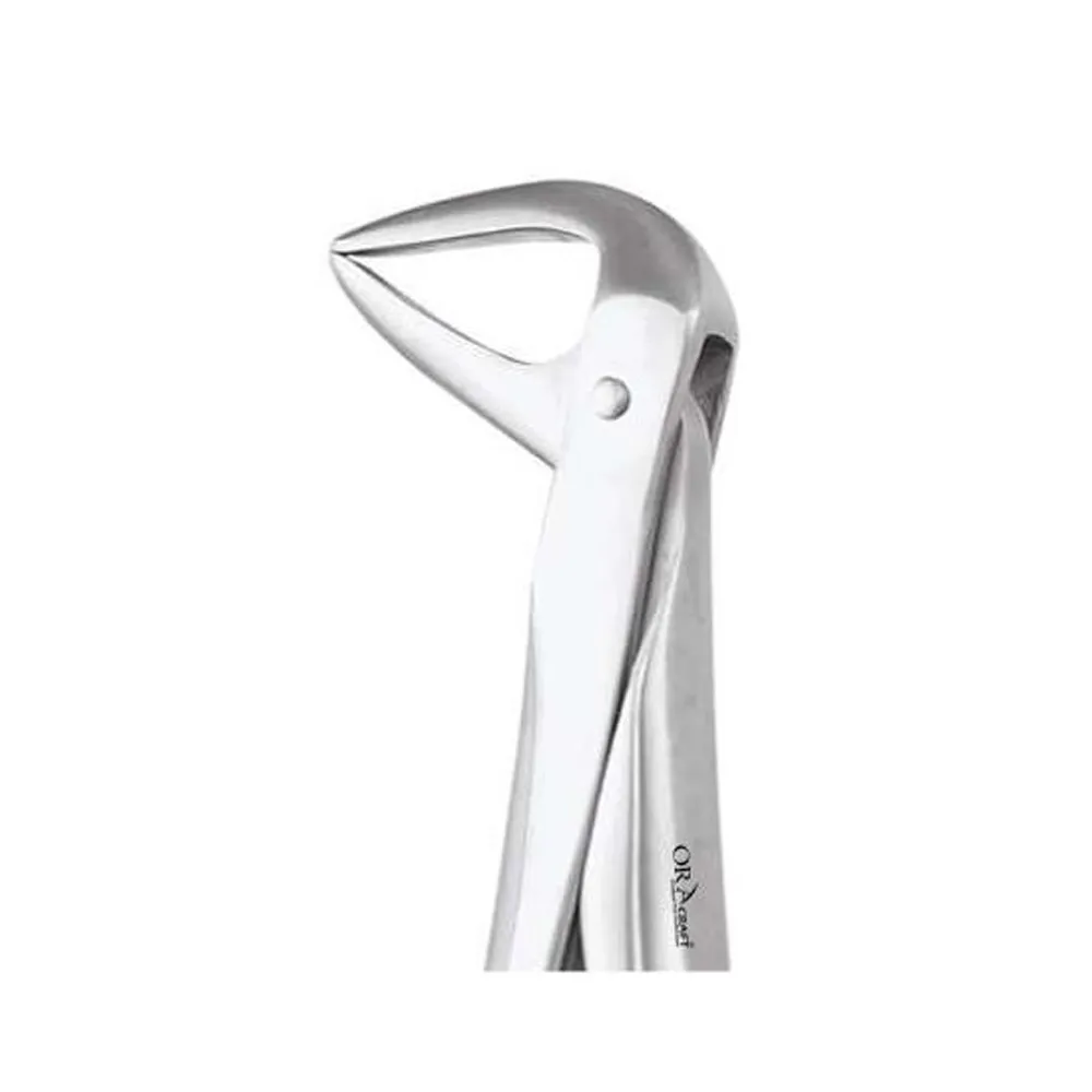 Buy Oracraft Lower Anteriors And Roots Extraction Forceps - Premium ...
