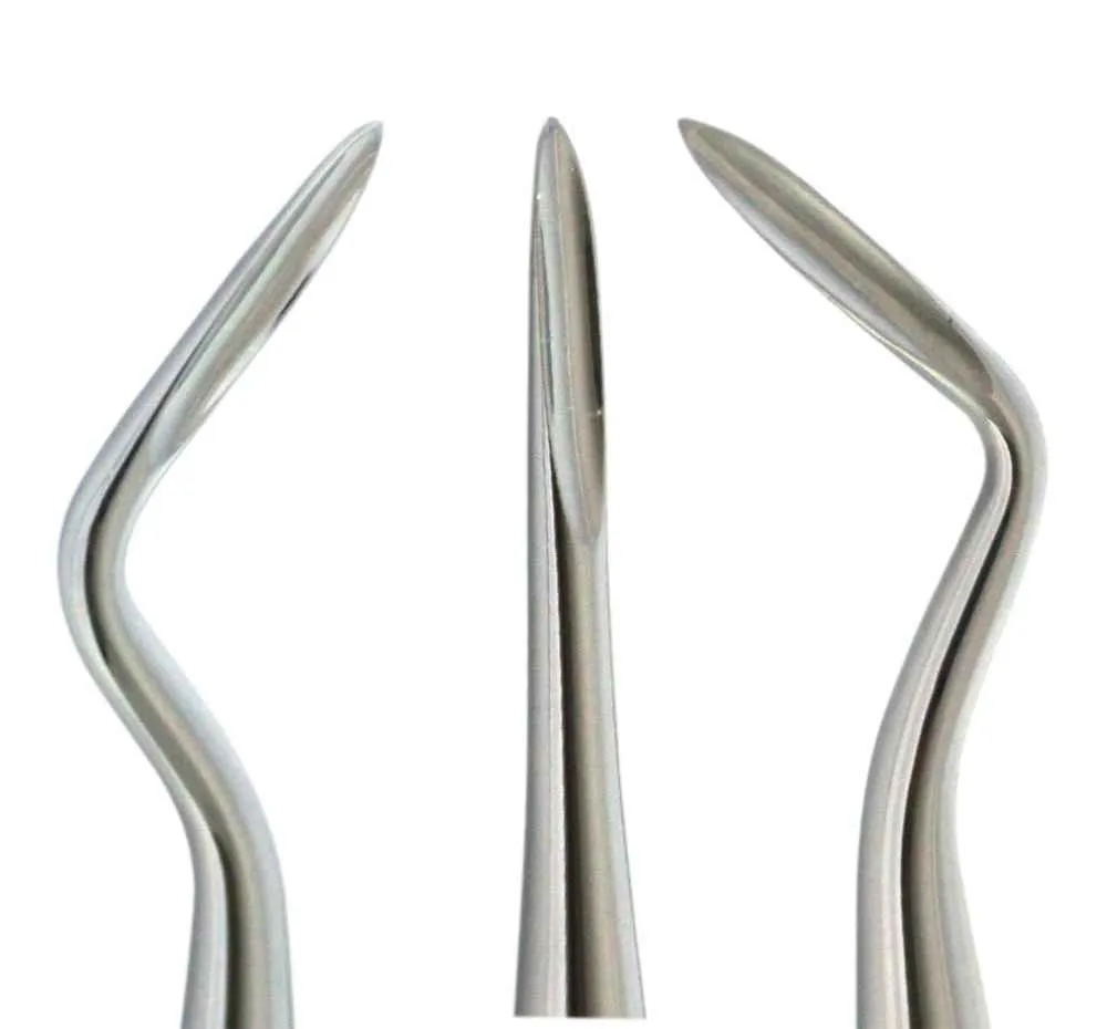 Waldent Flohr Root Elevators