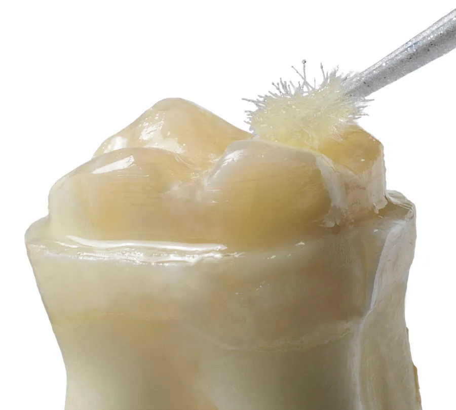 Buy Dentsply Prime Bond NT 3.5ml Online | Bond Universal Adhesive