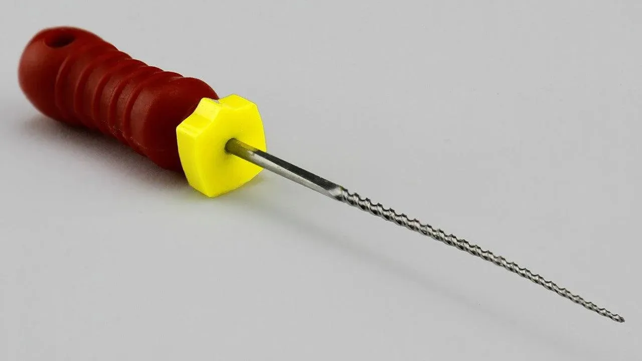 Buy Mani RT Files 25mm Online at Best Price | DentalKart