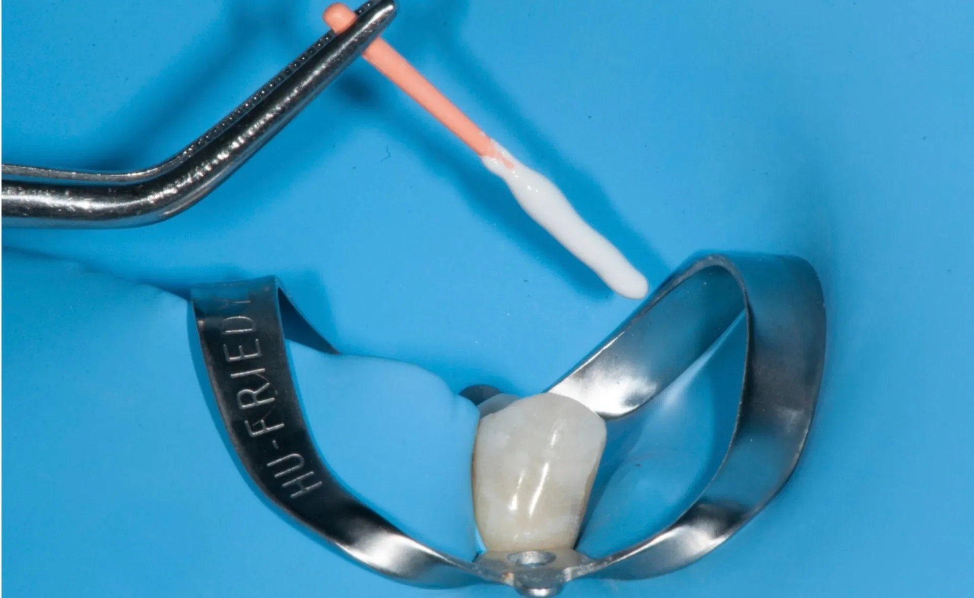 Pd Endofill (15 Gm Powder + 15 Ml Liquid) Online at Best Price ...