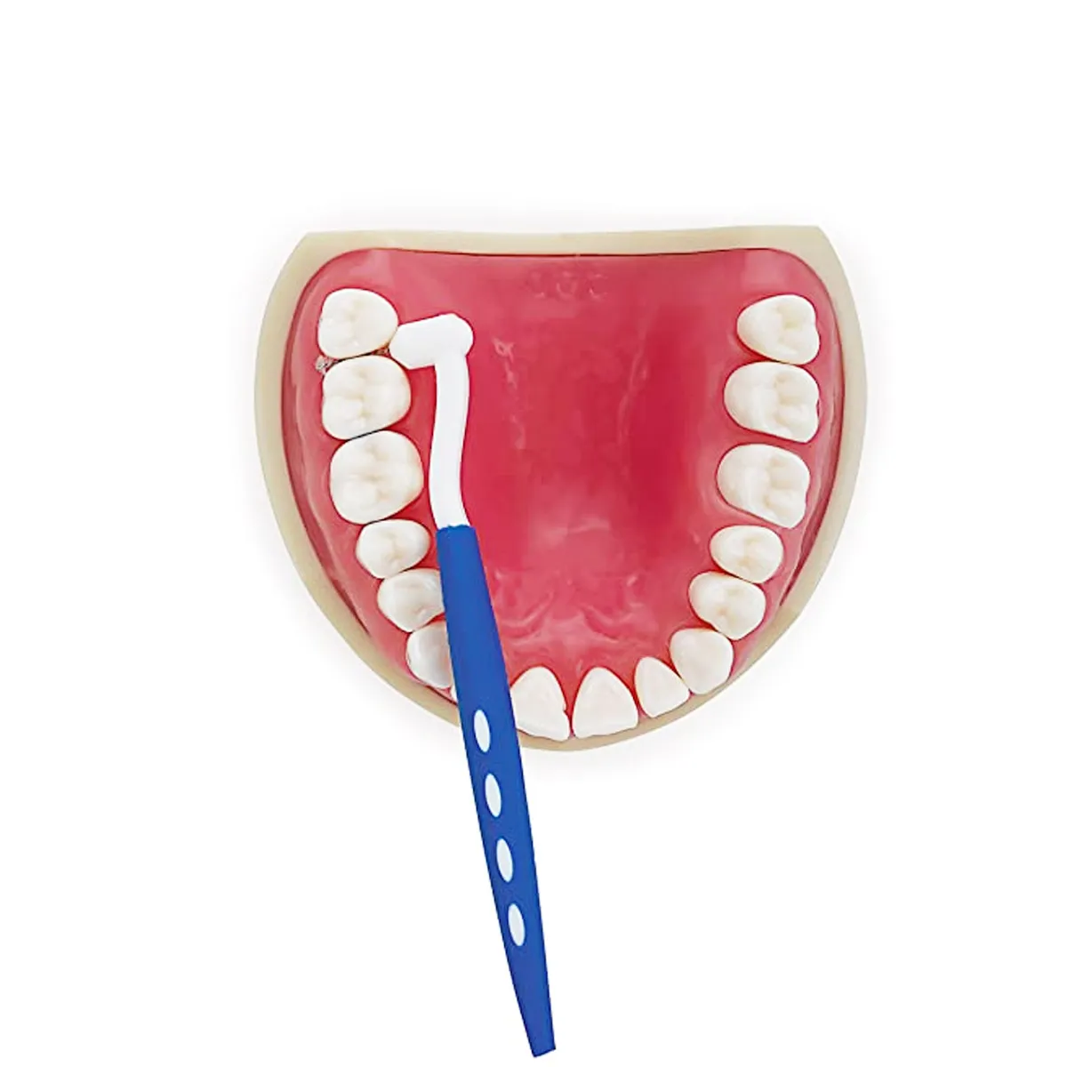 Get Medicept Protec Angled Interdental Brush - Best for Dental Hygiene ...