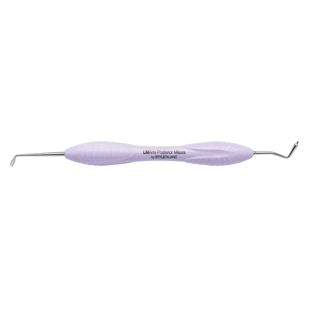 LM Arte Set - 5 Restorative Instruments With Cassette