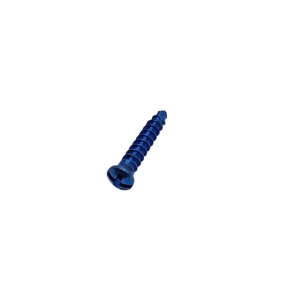 Buy SK Surgical Titanium Cross Head Screw 2mm Online | Dentalkart