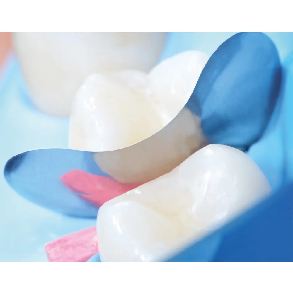 Polydentia Quickmat Sectional Matrices