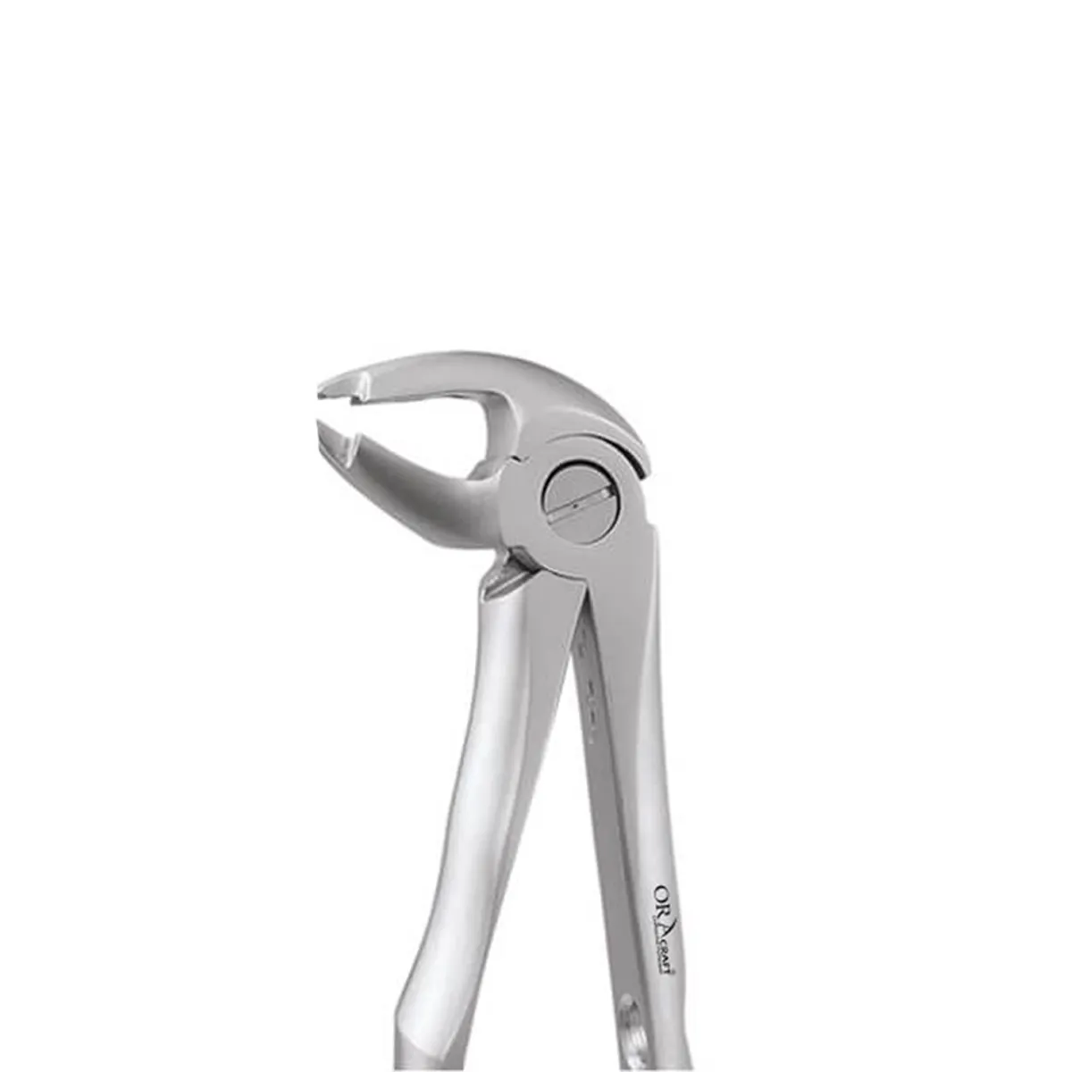 Oracraft Extraction Forceps Atraumatic Online at Best Price ...