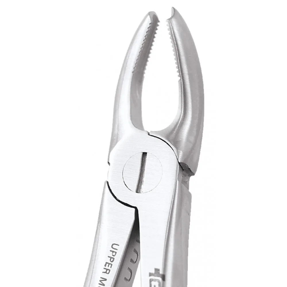GDC Extraction Forceps Upper Molar Left Ergonomic (FX18E) | DentalKart