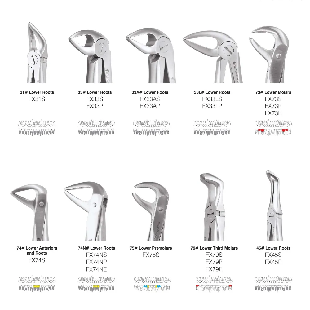 GDC Extraction Forceps Kit | DentalKart