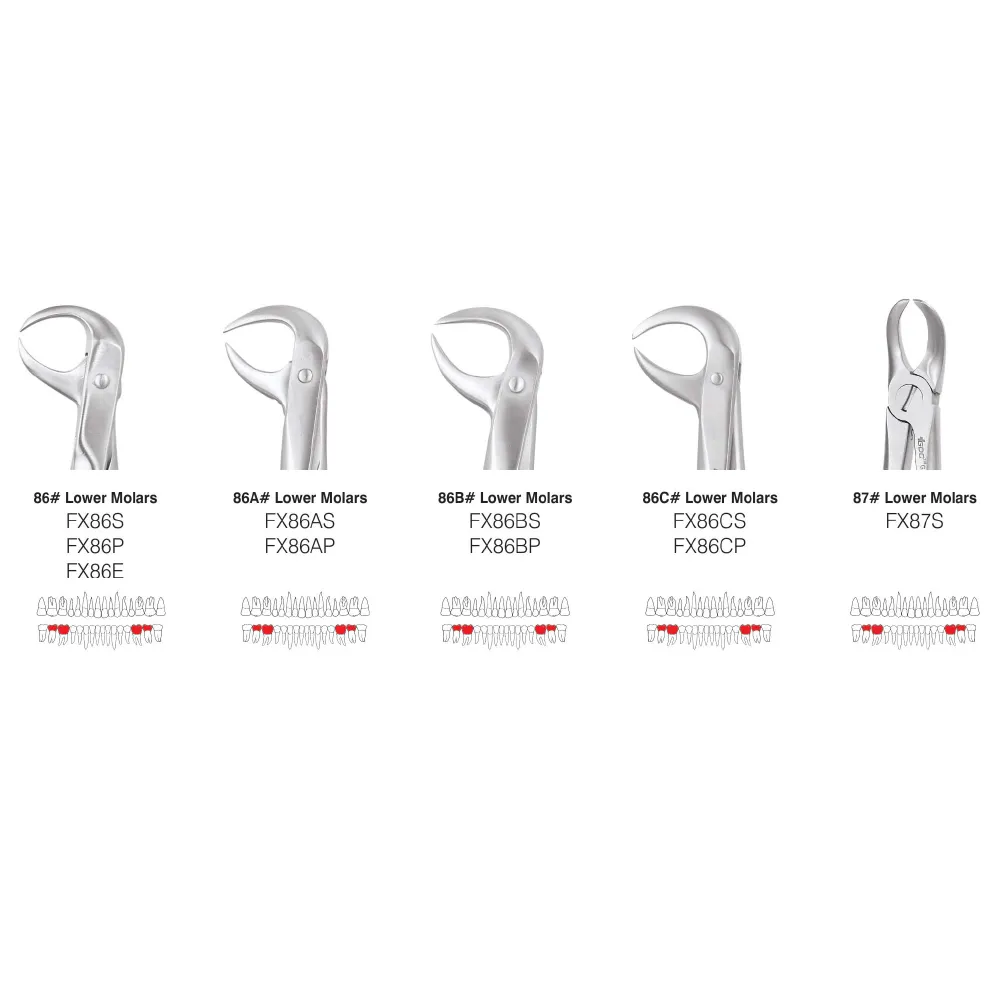 GDC Extraction Forceps Kit | DentalKart