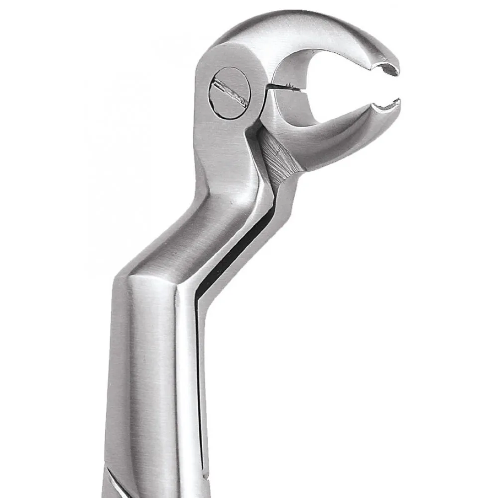 GDC Extraction Forceps Special Wisdom Routrier | Dentalkart