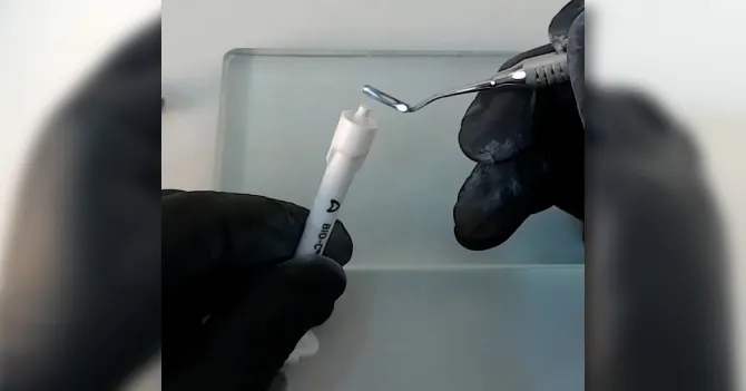 Angelus Bio-C Repair | Dentalkart