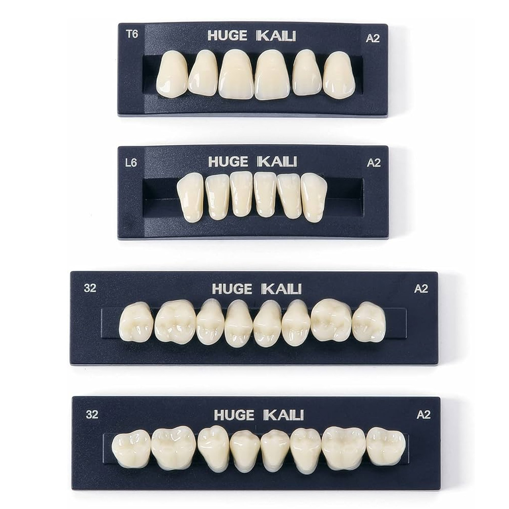 Huge Dental Kaile Acrylic Denture Teeth A2 (Pack of 4 Sets)