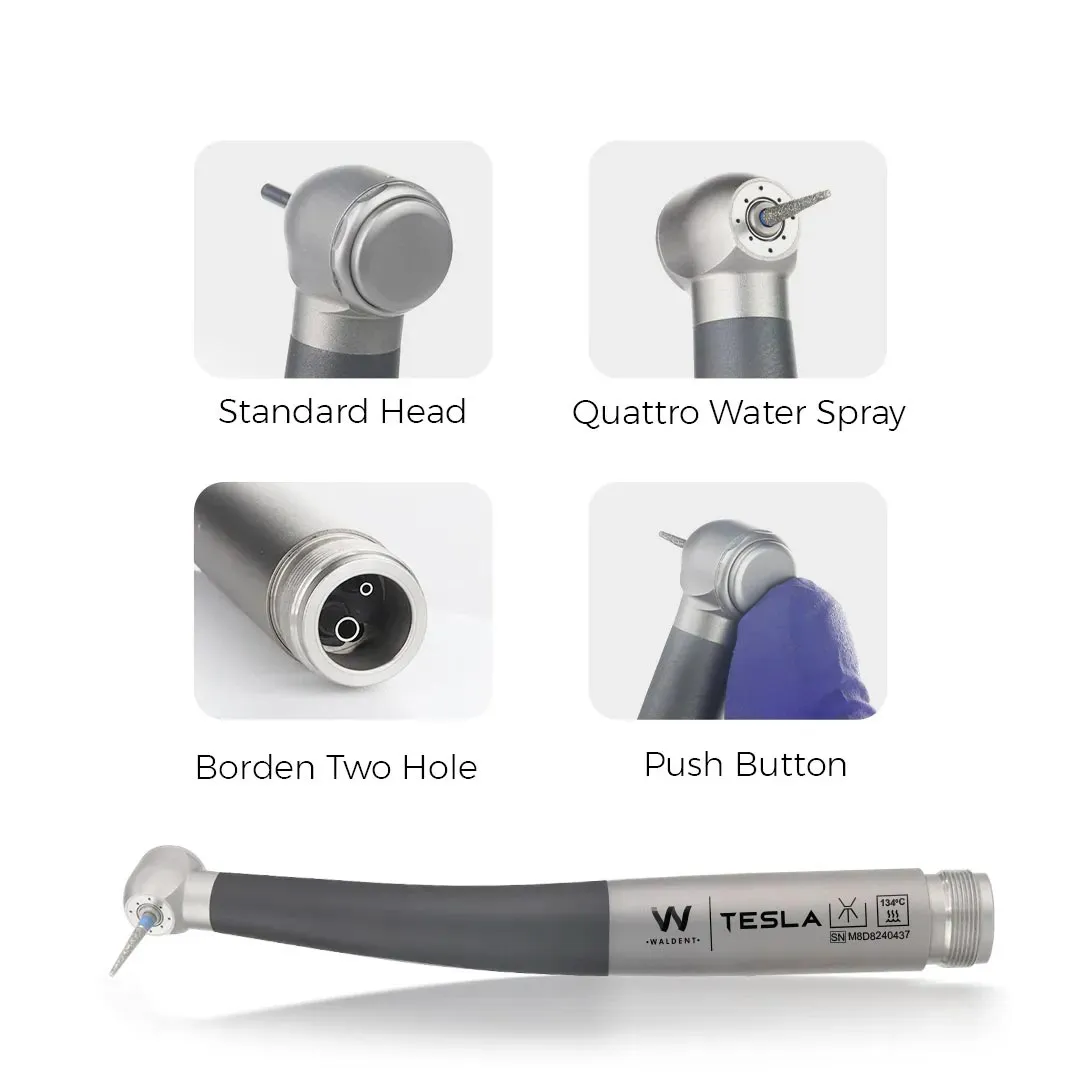 Waldent Tesla Airotor Standard Head And Accessories | Dentalkart