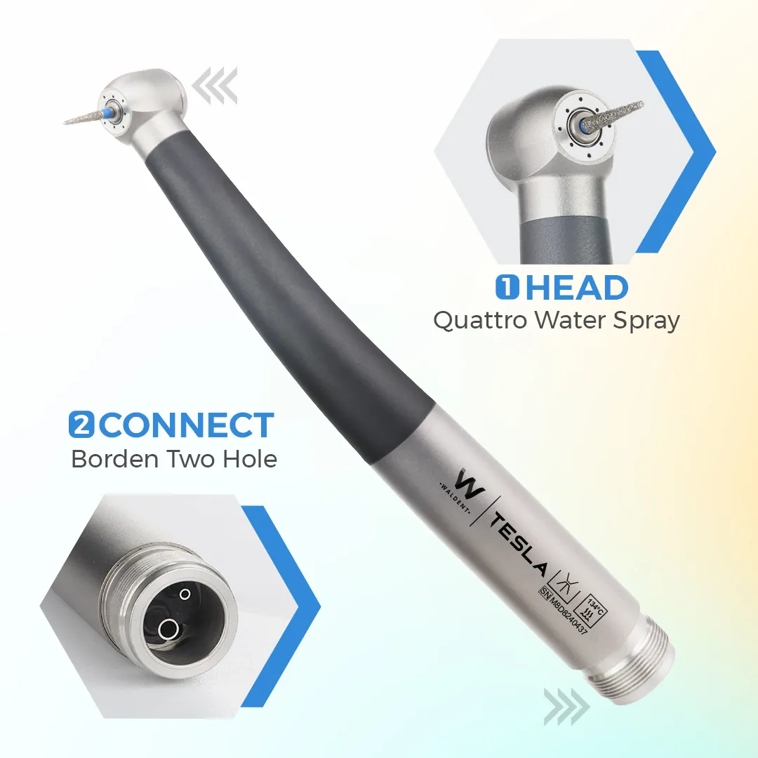 Waldent Tesla Airotor Standard Head And Accessories | Dentalkart